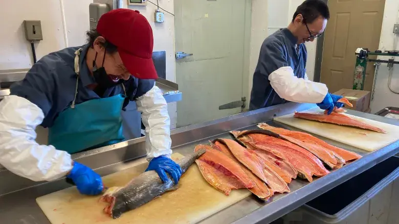 FISH PACKING JOBS : EARN UPTO $30/HR | ALL EXP. CAN APPLY | APPLY NOW