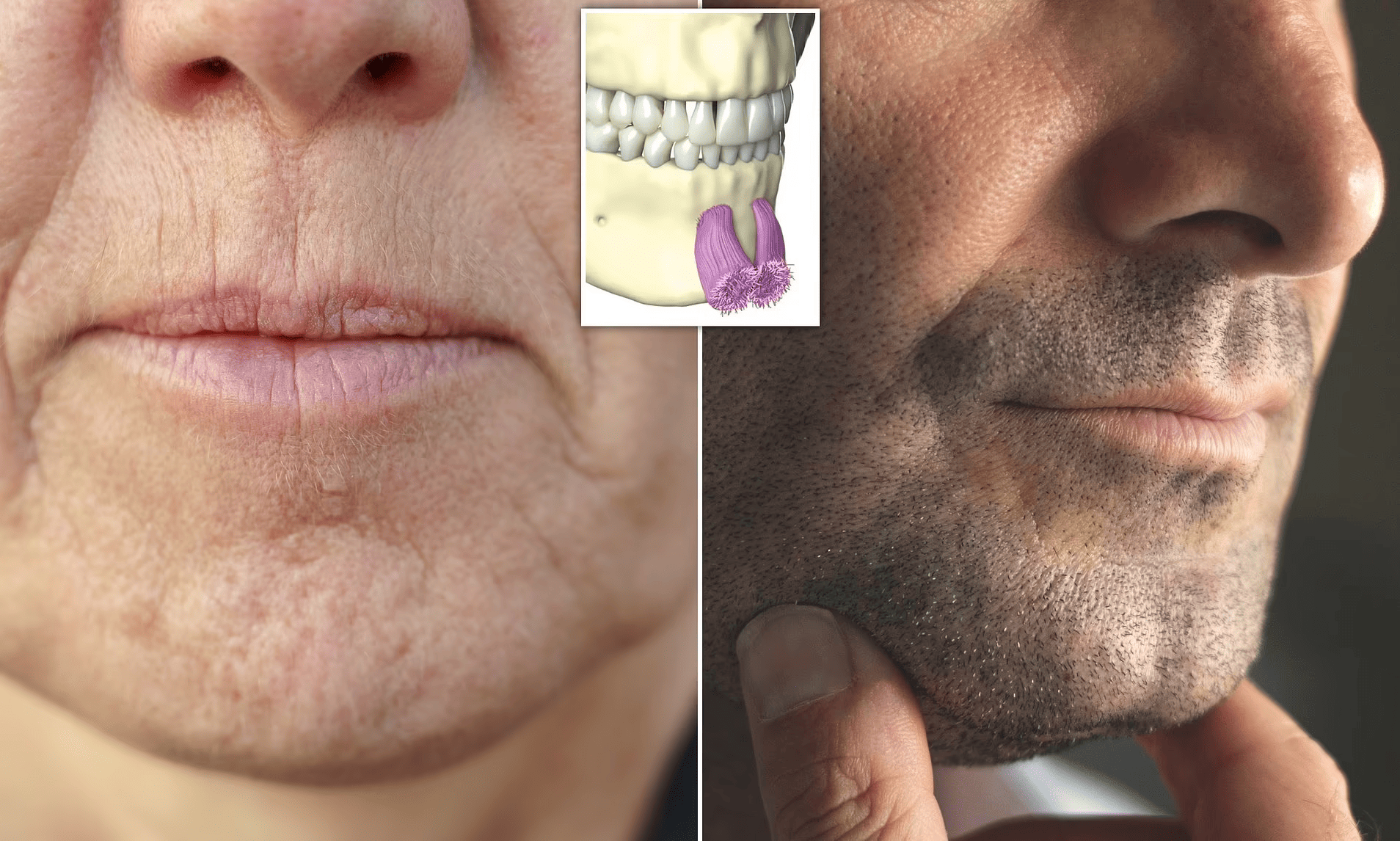 New Film Trailer: The Secret Behind Chin Dimples Revealed