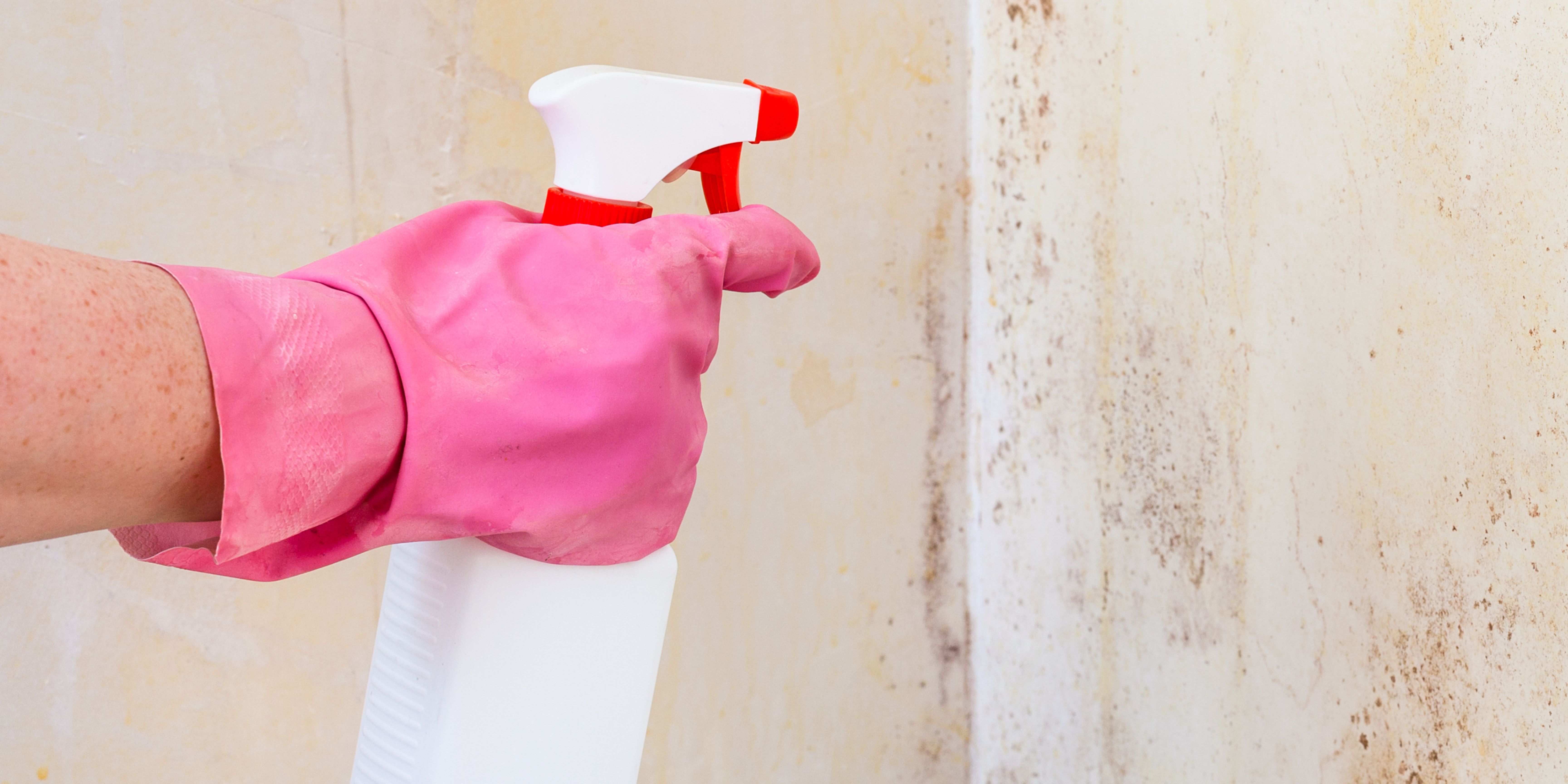 Discover Fast and Effective Methods for Instant Mold Removal