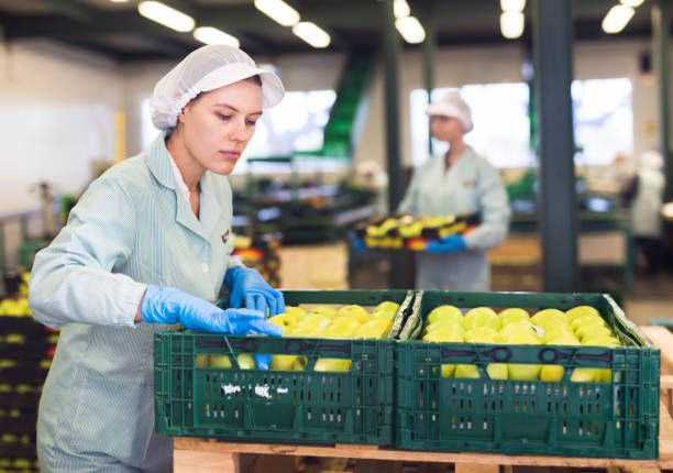 UP TO 3500-4000 AED | VEGETABLE PACKING JOBS | Any EXPERIENCE REQUIRED ...