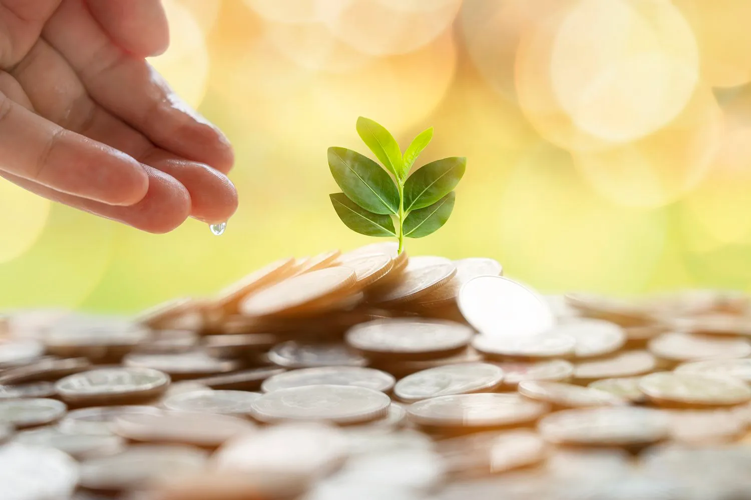 Master Liquid Assets: Smart Investing Strategies You Need!